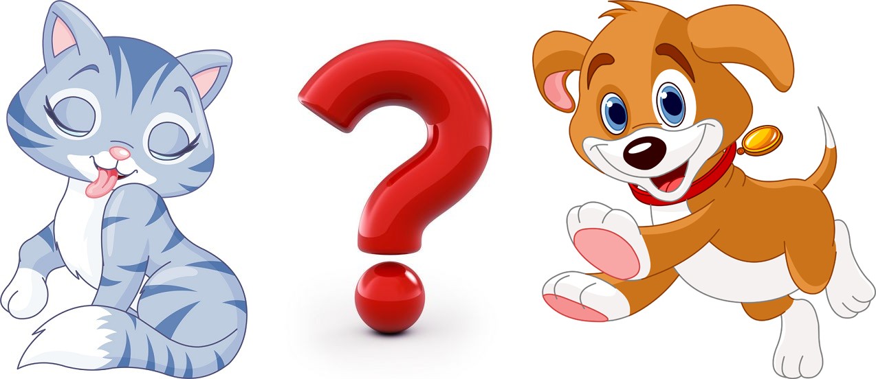 Are You A Cat Or A Dog Daily Dose Of Fun Are You A Cat Or A Dog Daily Dose Of Fun