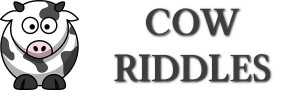 82 Cow Riddles For Your Enjoyment - Humor As Life's Essence